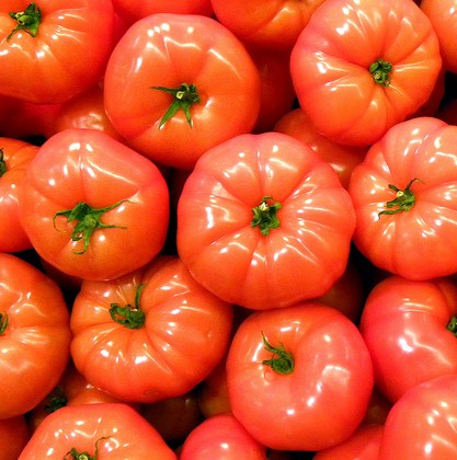 Brandywine Tomato Lycopersicon lycopersicum | seedk.com Plant seeds ...