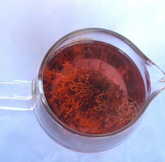 Lethariella cladonioides tea Red Snow Tea Wild Tibetan | seedk.com ...