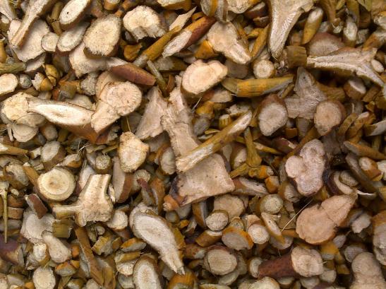 Mistletoe Root pieces Viscum album | BELL Garden Company,Wholesale ...