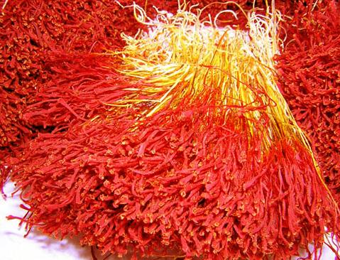 saffron | seedk.com Plant seeds,Alive roots,Medicinal herbs,medicinal ...